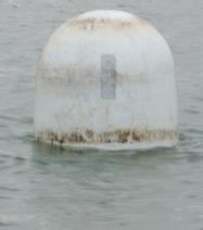 Smart Buoy Co. :: Floats